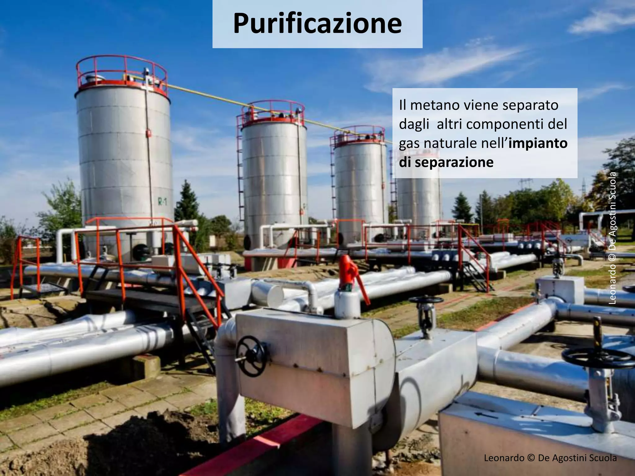 Le fasi del processo | PPT