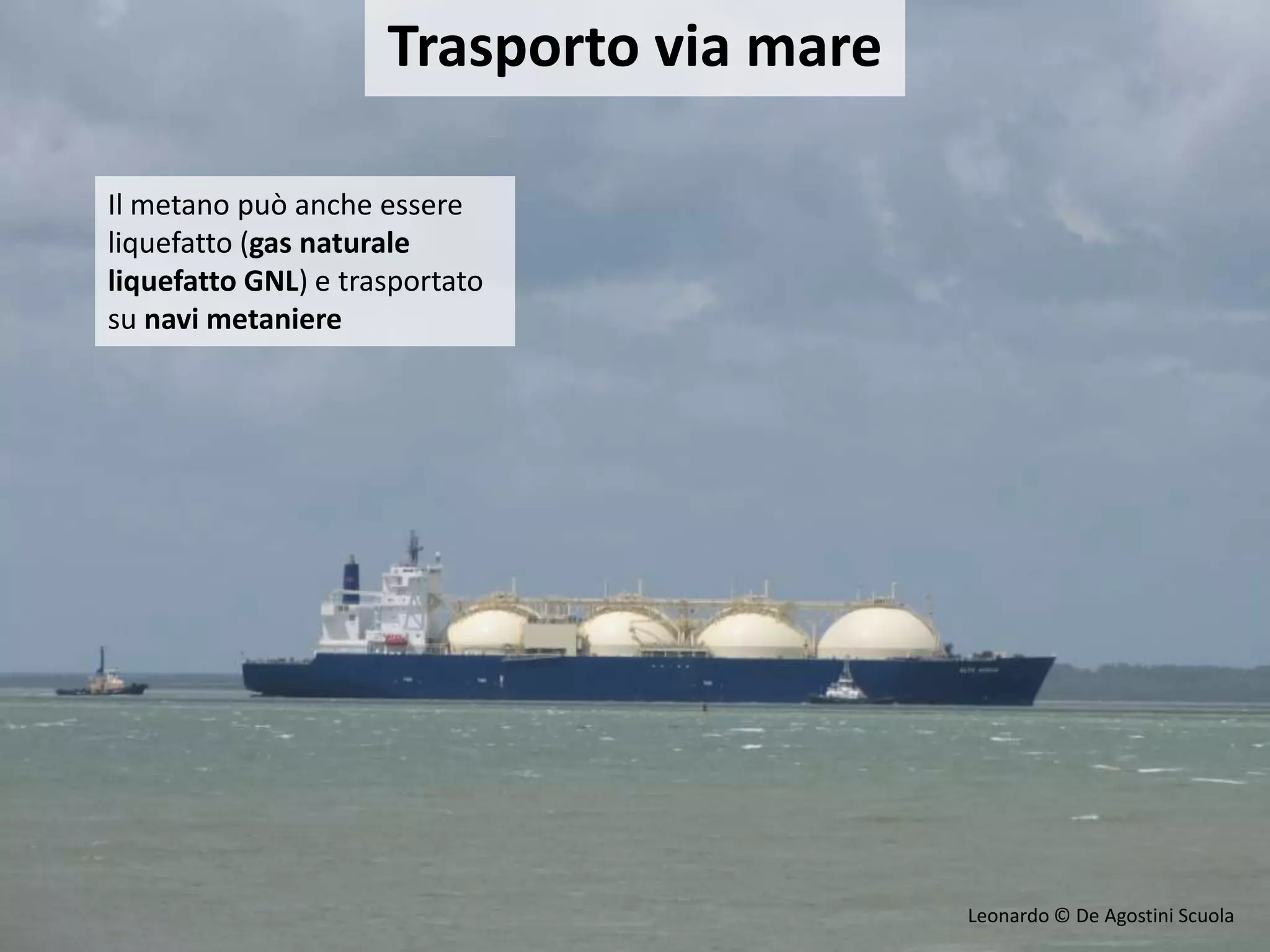 Le fasi del processo | PPT
