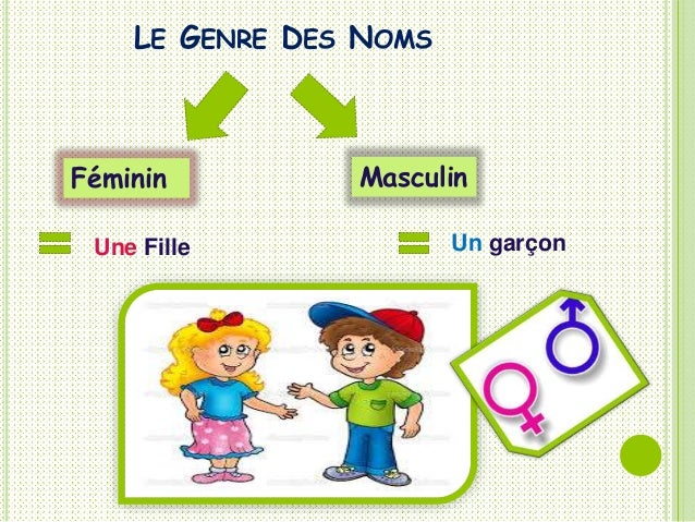 Le féminin et le masculin des mots