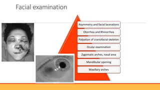 Le Forte Fractures (1).pptx