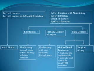 Lefort Fracture Repair