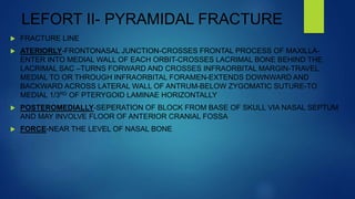 Lefort fractures | PPT