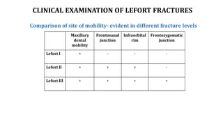 LEFORT FRACTURES.pptx