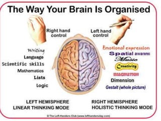 Left Handedness | PPT