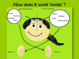 Left Handedness | PPTX