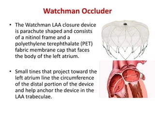 Left atrial appendage closure | PPT