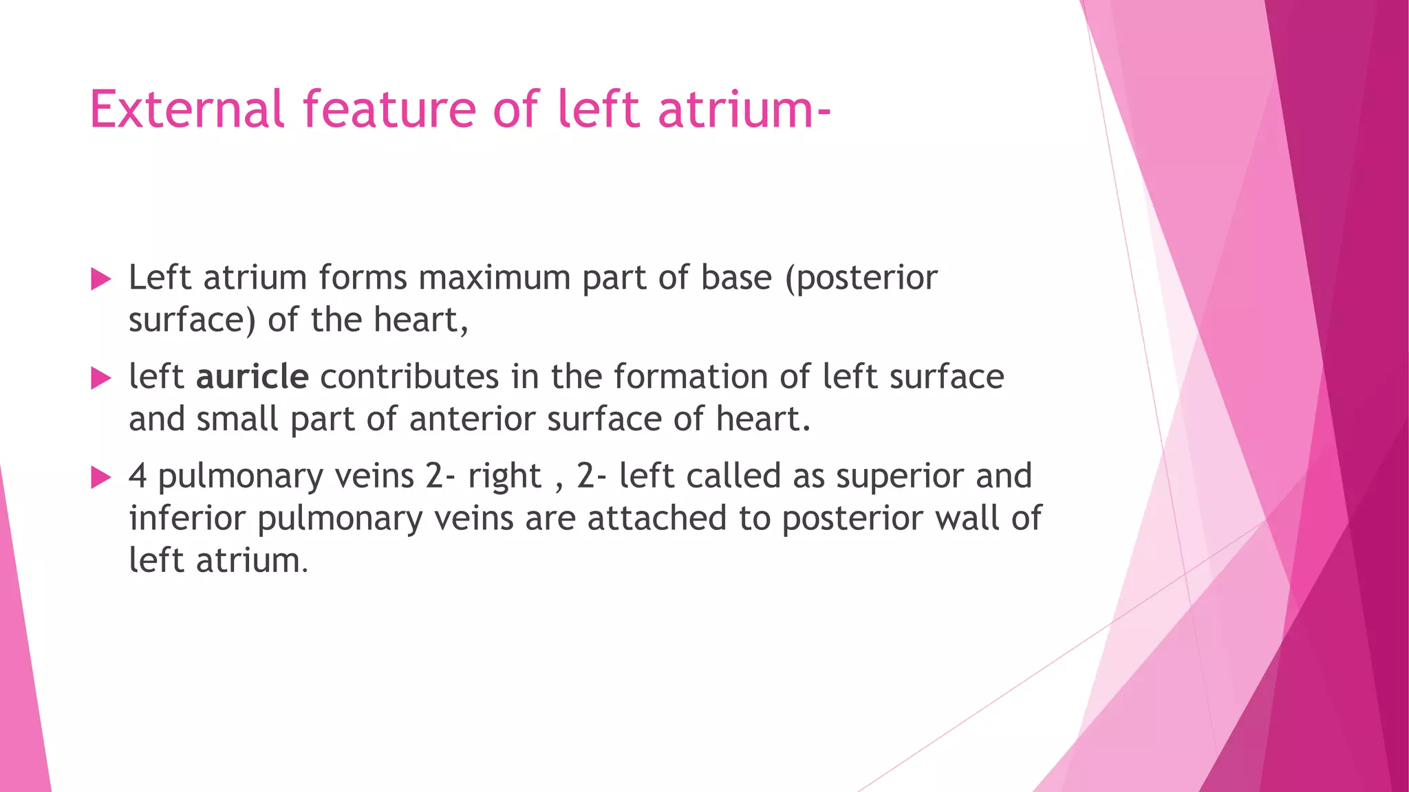 anatomy of Left atrium and left ventricle of the human heart | PPTX