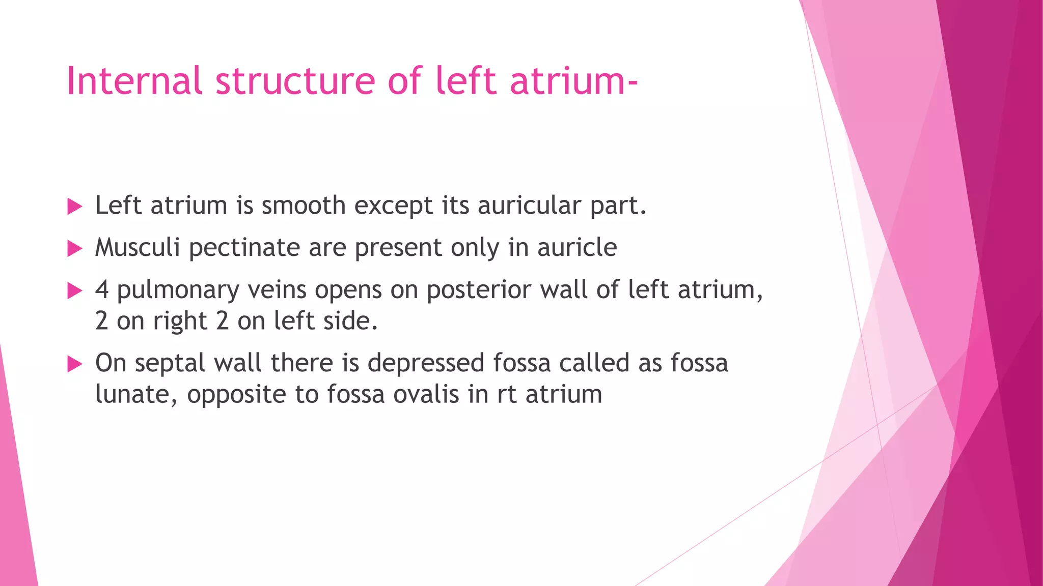 anatomy of Left atrium and left ventricle of the human heart | PPTX