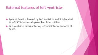 anatomy of Left atrium and left ventricle of the human heart | PPTX