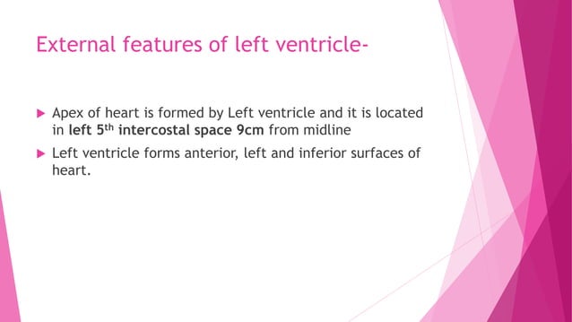 anatomy of Left atrium and left ventricle of the human heart | PPTX ...