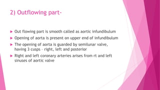 anatomy of Left atrium and left ventricle of the human heart | PPTX