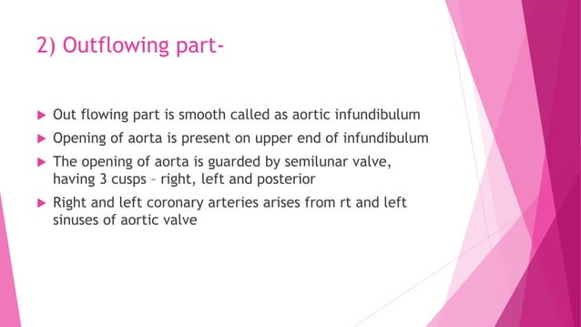 anatomy of Left atrium and left ventricle of the human heart | PPTX ...