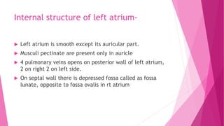 anatomy of Left atrium and left ventricle of the human heart | PPTX