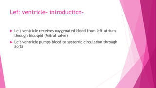 anatomy of Left atrium and left ventricle of the human heart | PPTX