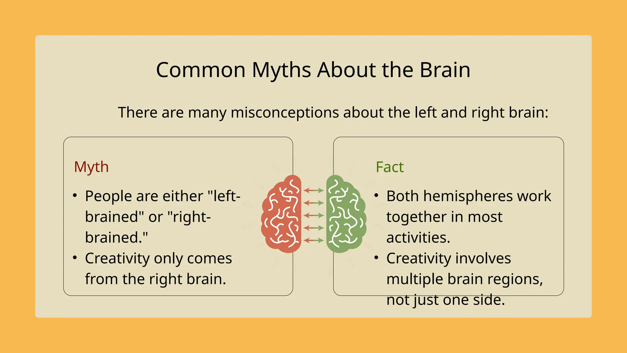 Left Brain and Right Brain Education Presentation In Colorful ...