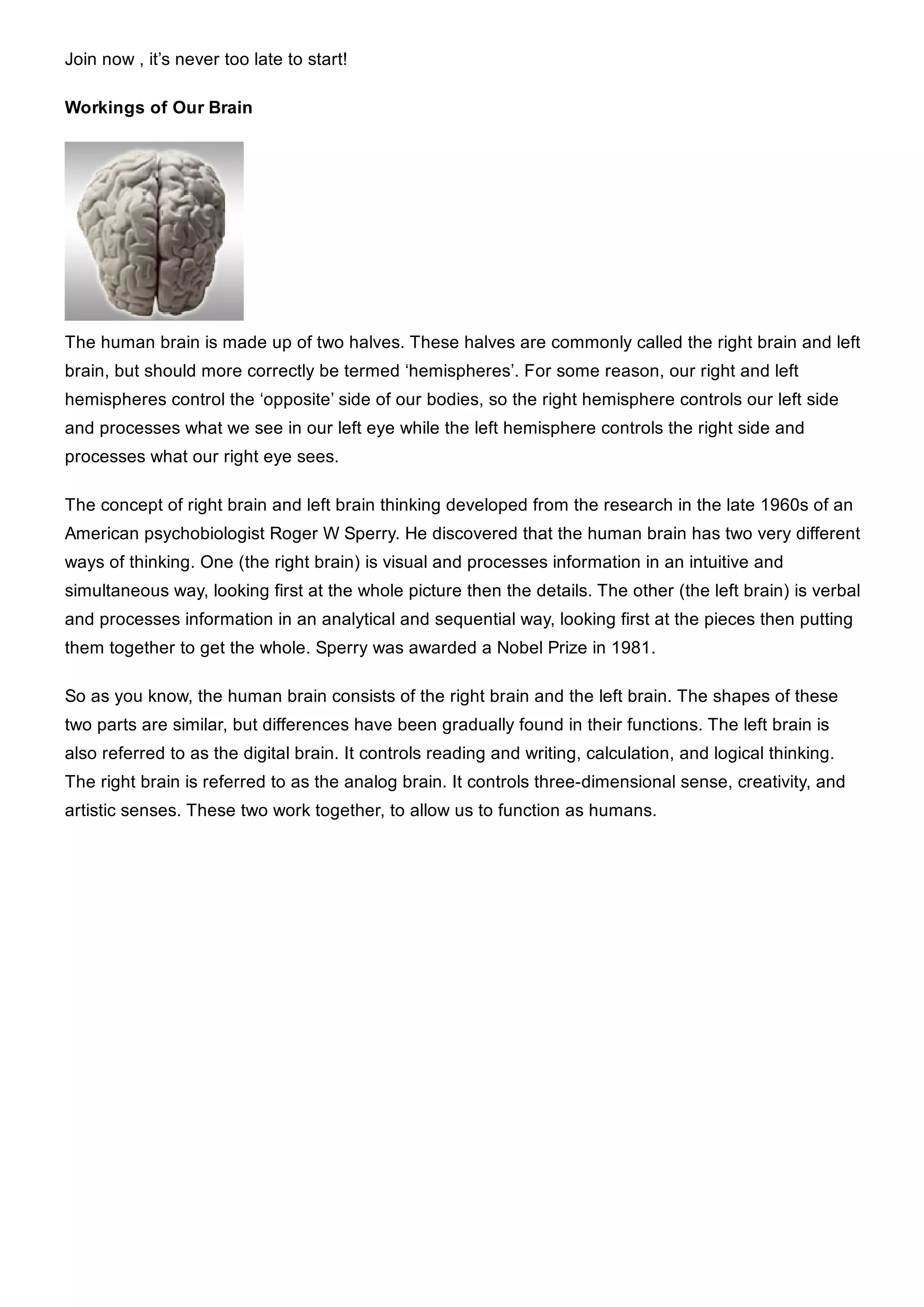 Left brain vs right brain | PDF