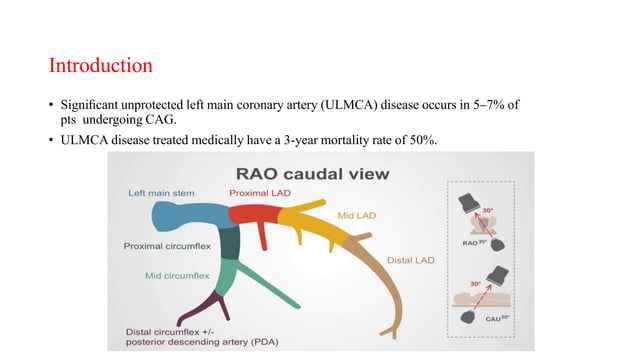 Left main disease final | PPT