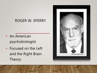 Left or right brain | PPTX