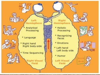Left or right brain | PPTX