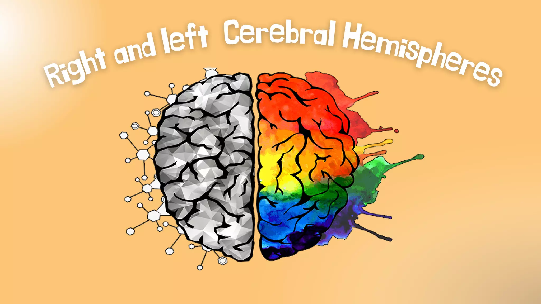 Rigth and Left Hemispheres | PDF