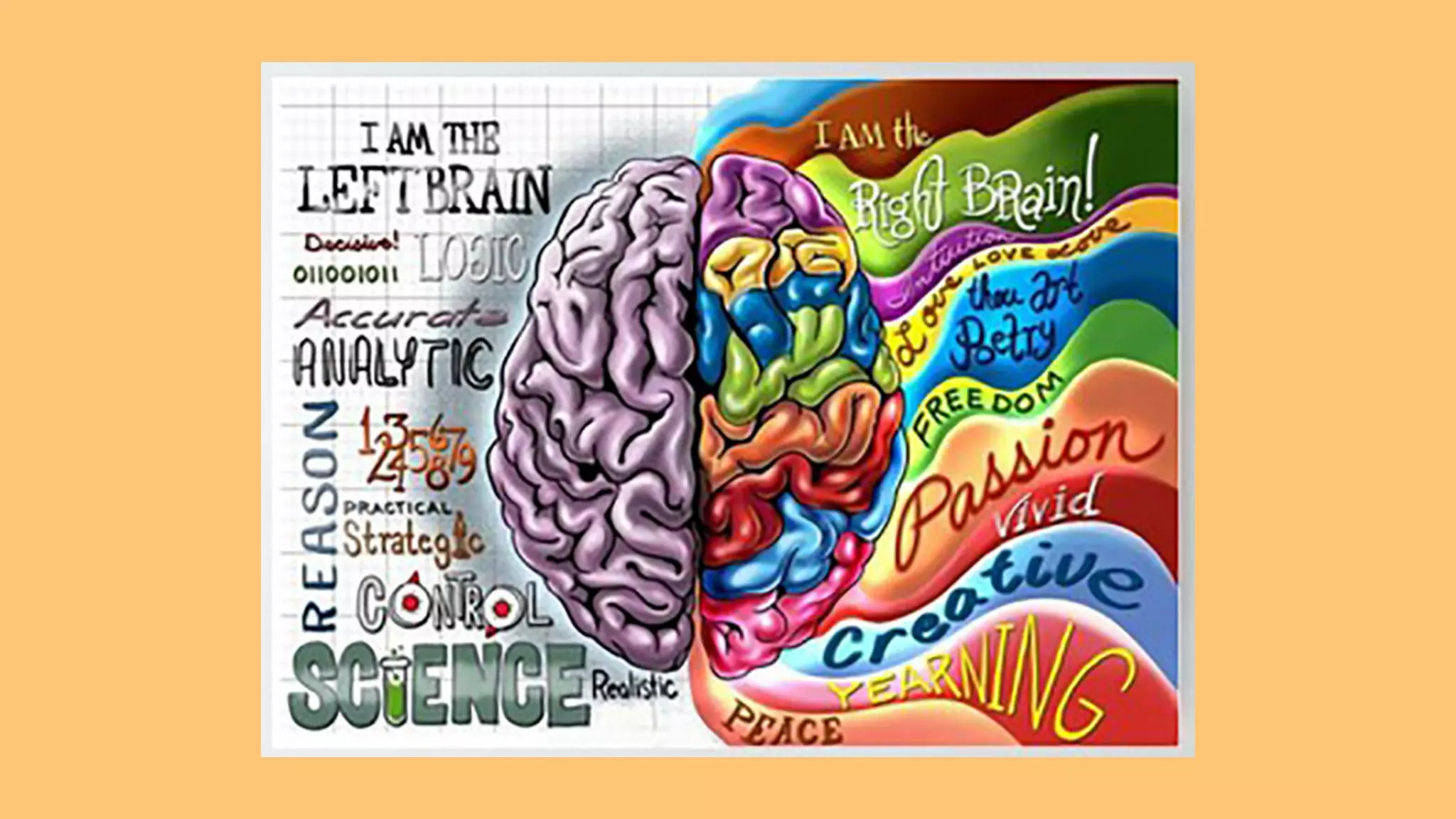 Rigth and Left Hemispheres | PDF