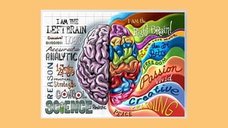 Rigth and Left Hemispheres | PDF