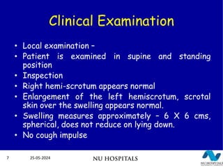 left testicular swelling of the left testis urology ppt | PPT