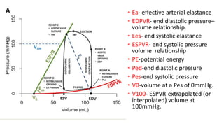 Left ventricle pressure–volume analysis final.pptx