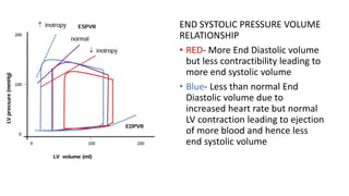 Left ventricle pressure–volume analysis final.pptx