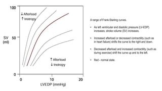 Left ventricle pressure–volume analysis final.pptx