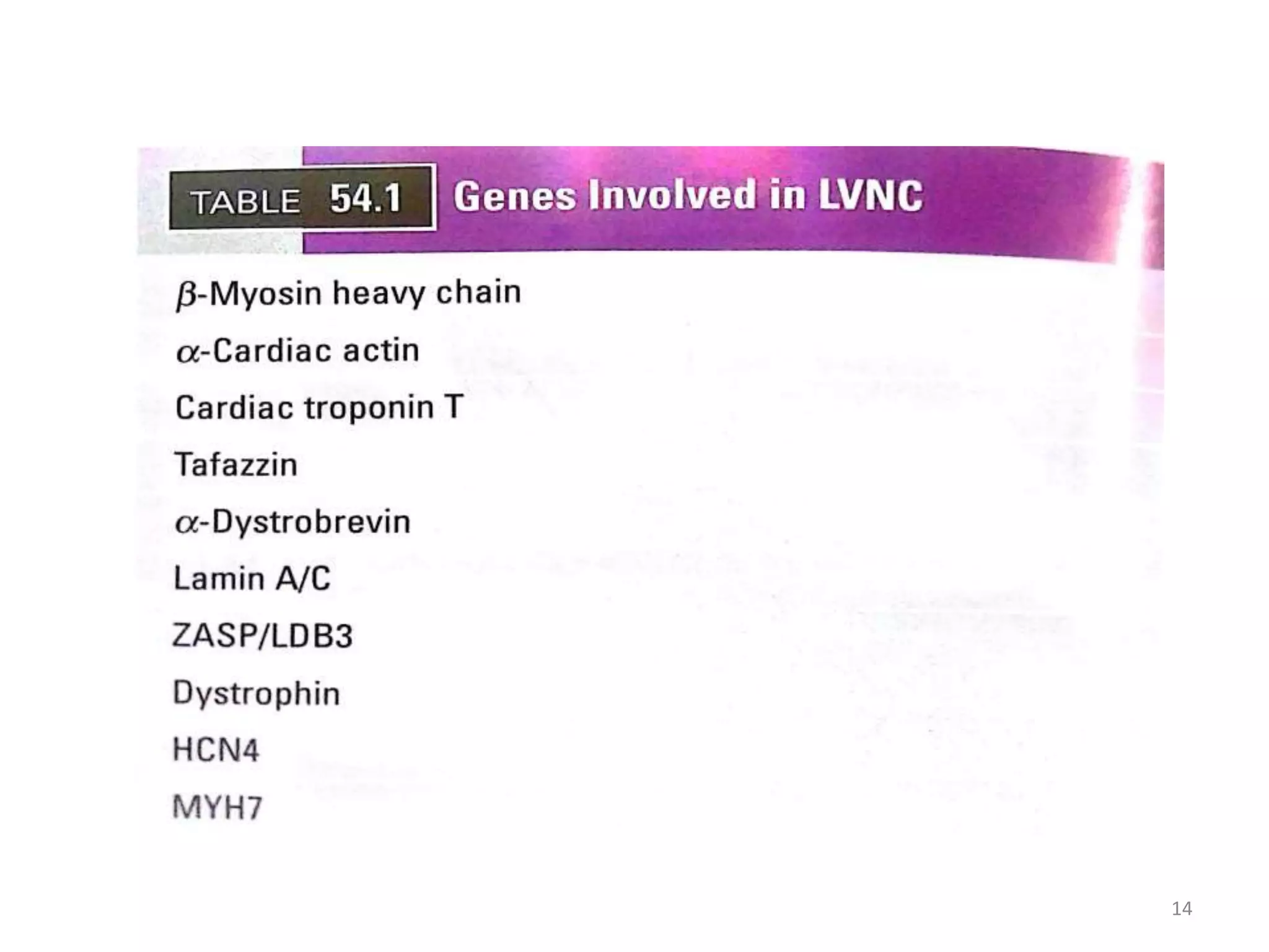 Left ventricular non compaction | PPTX