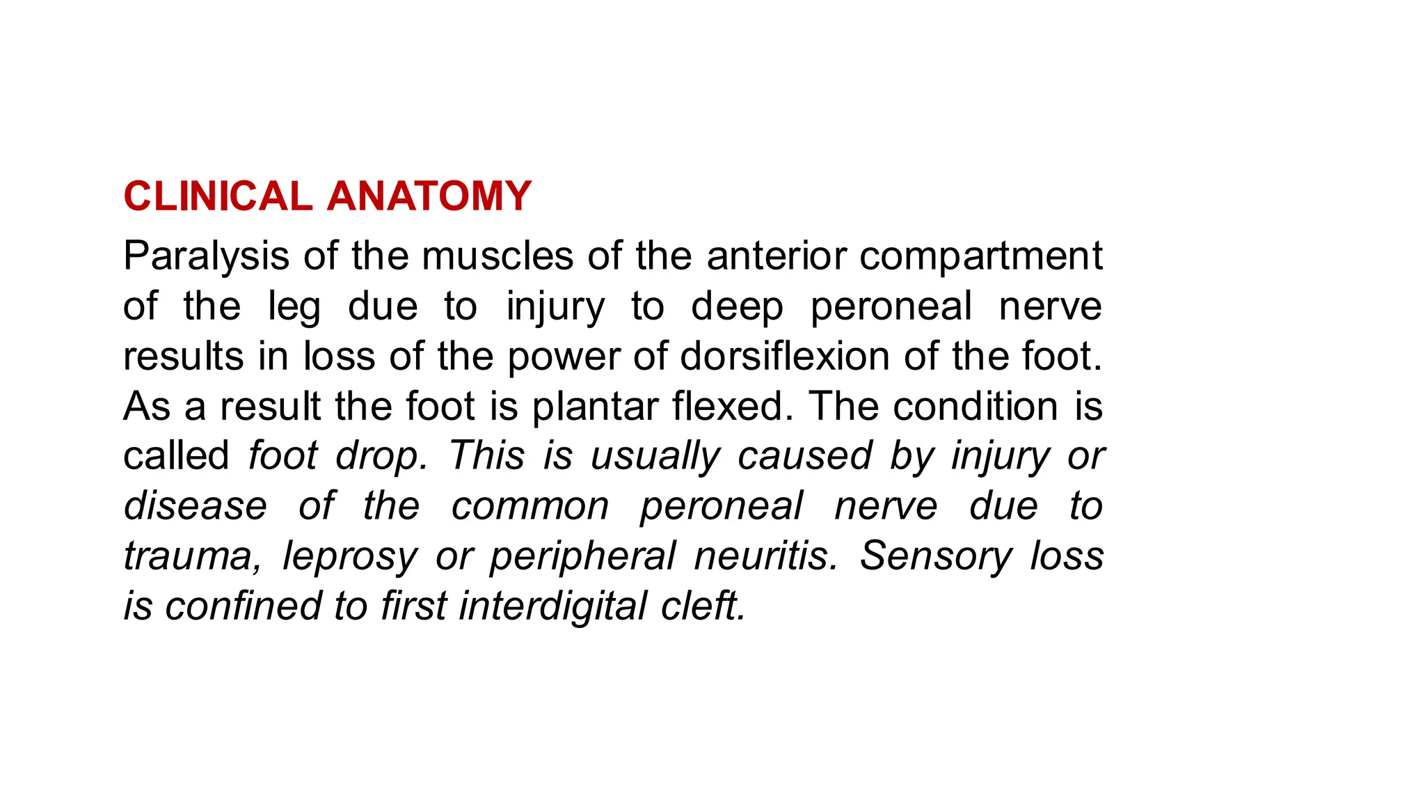 The musculature,nerves,veins,arteries of leg | PDF