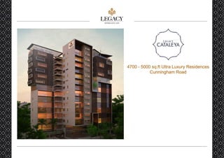 Legacy Company Profile | PDF