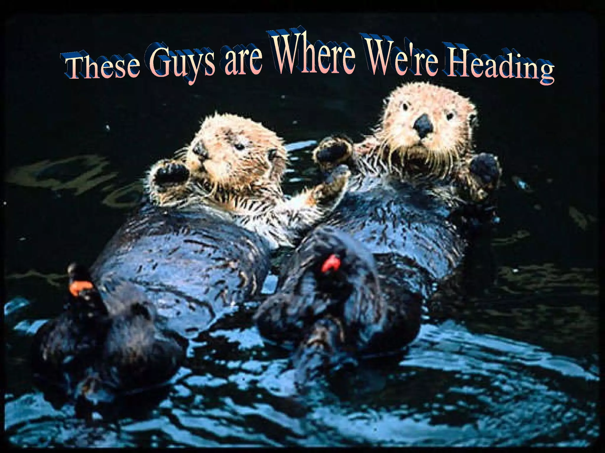 Legacy powerpoint | PPT