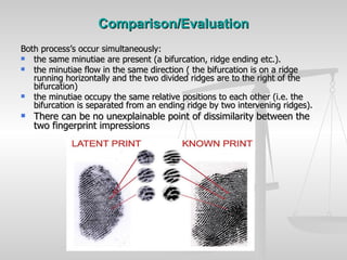 Latent Fingerprint Individualization | PPT