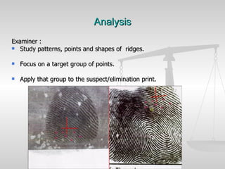 Latent Fingerprint Individualization | PPT
