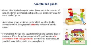 Sale of Goods Act, 1930 | PPTX