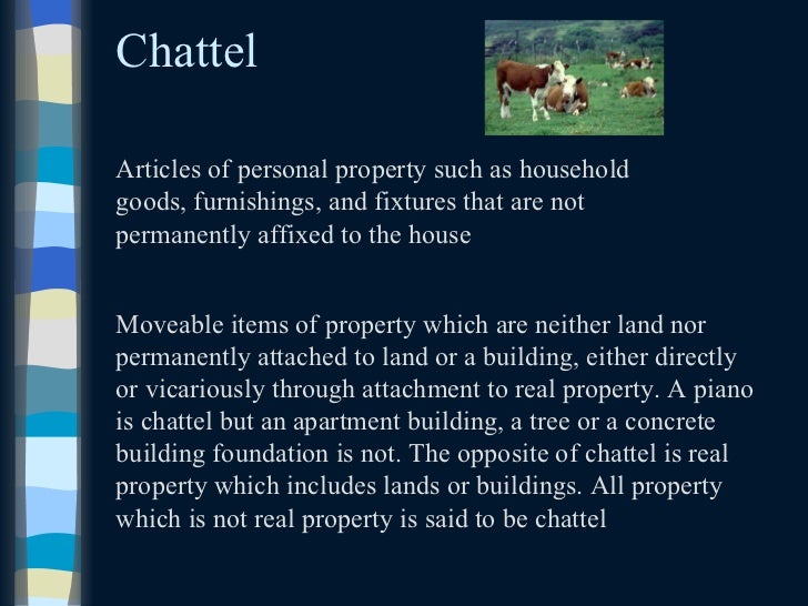 Legal concepts and definitions of legal terms