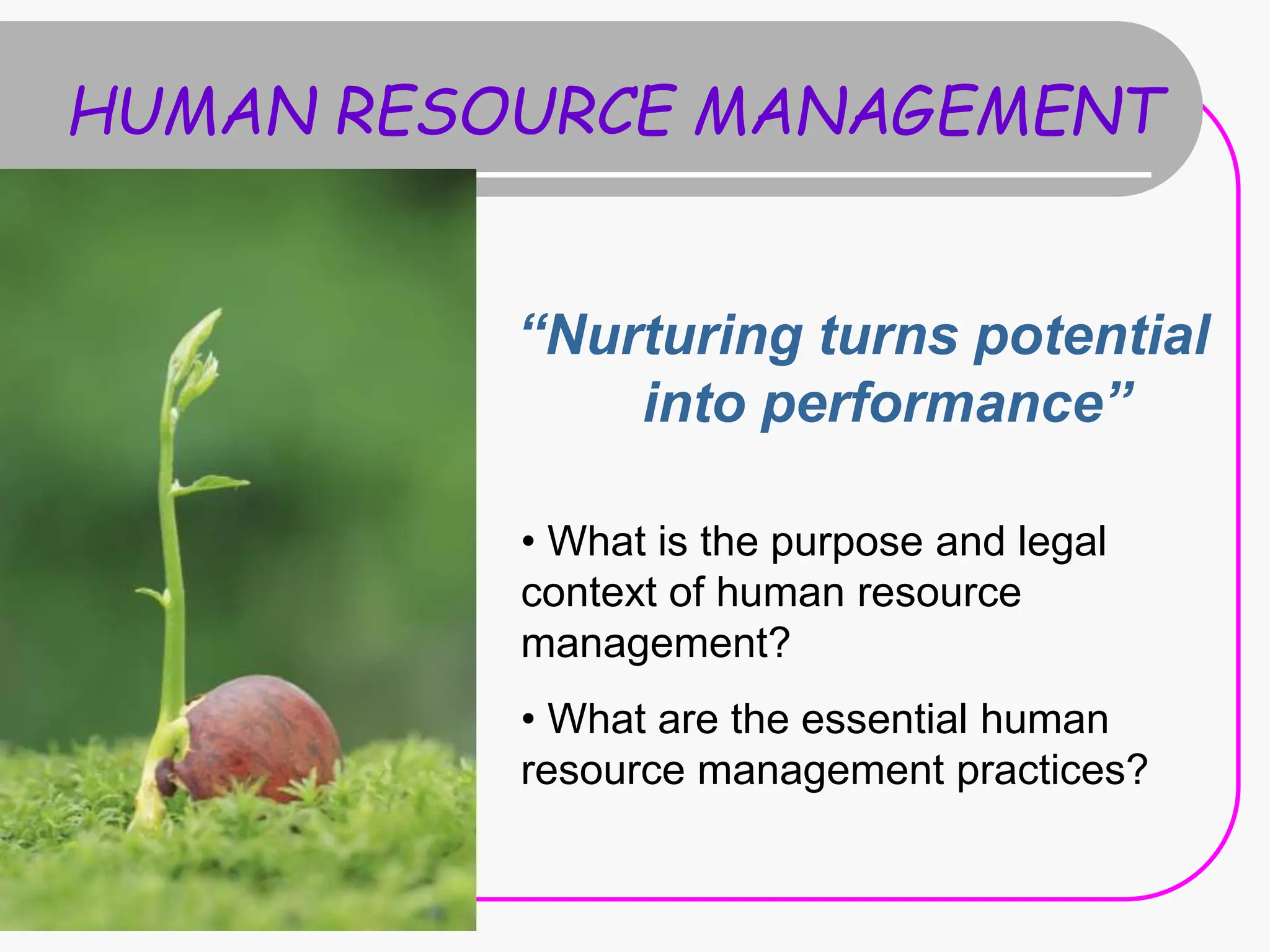 Legal HR.ppt legal hrm ppt ppt on human resource management legal ...