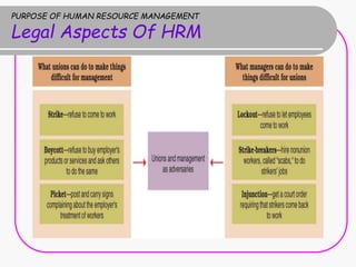 Legal HR.ppt legal hrm ppt ppt on human resource management legal ...