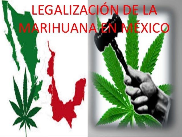 Legalización De La Marihuana En México Presentacion