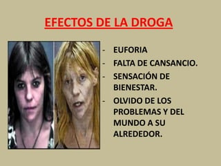 LAS DROGAS EN COLOMBIA Y SU POSIBLE LEGALIZACIÓN | PPTX