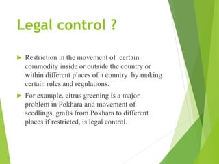 Legal measures of insect pest management for slideshare | PPTX