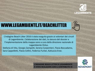 Beach Litter 2016 | PDF
