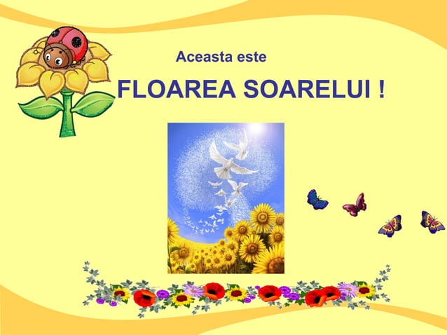 Legenda florii soarelui | PPT