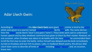 Legendary birds | PPT