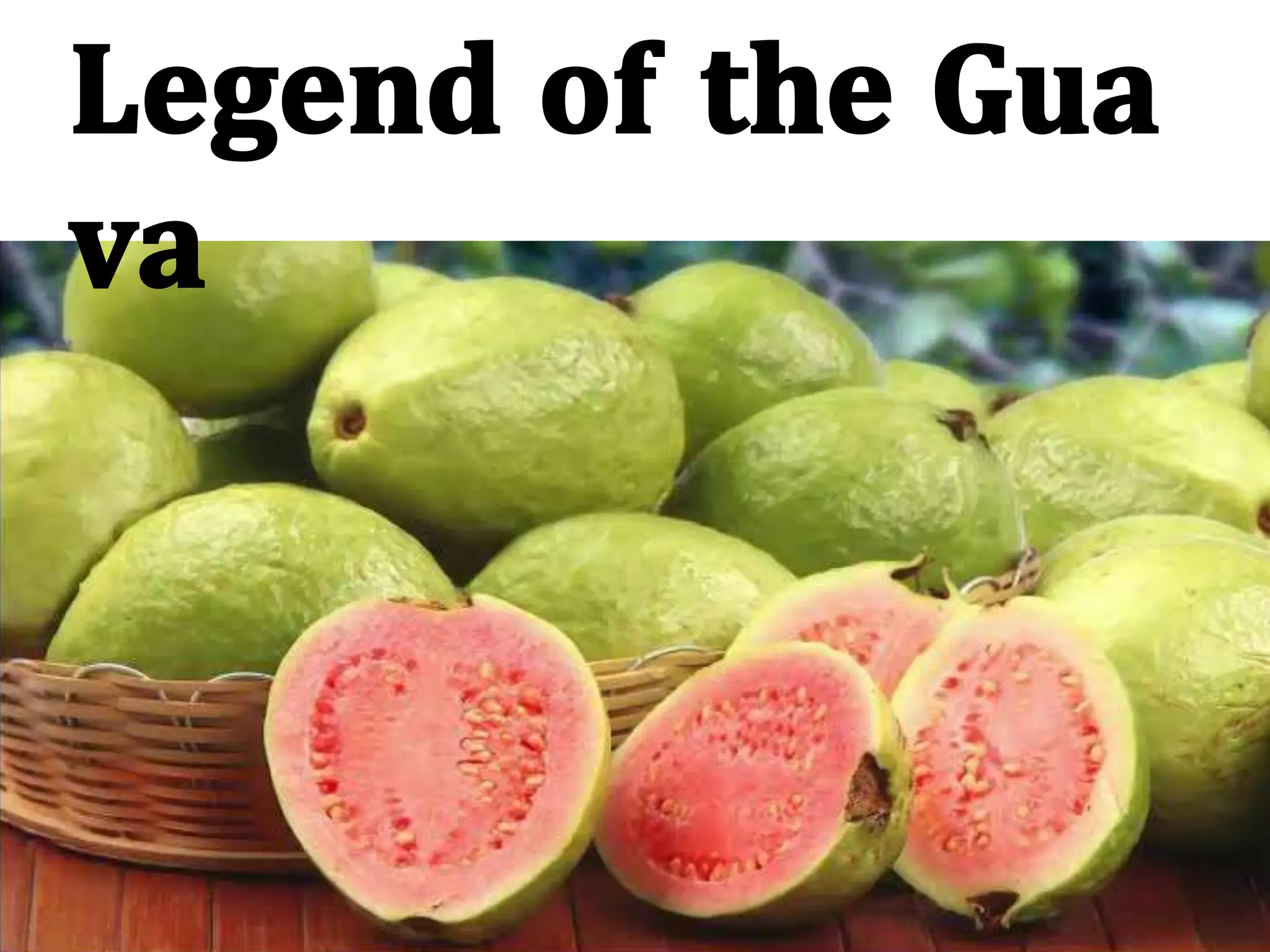 Legend of guava | PPTX