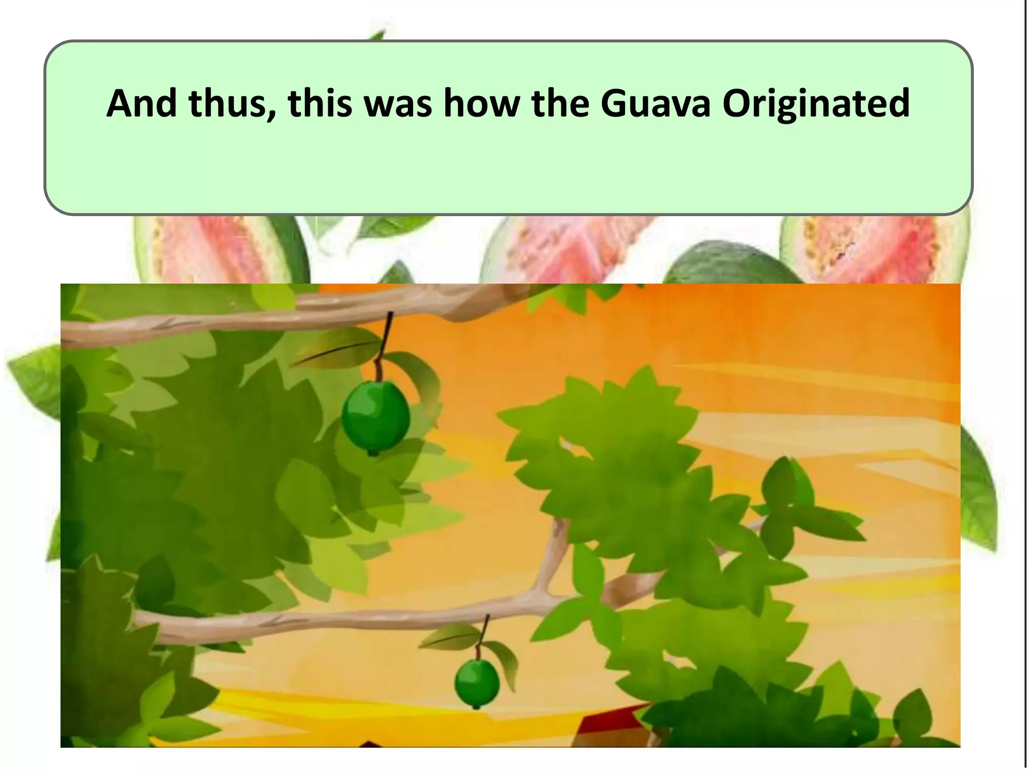 Legend of Guava | PPTX