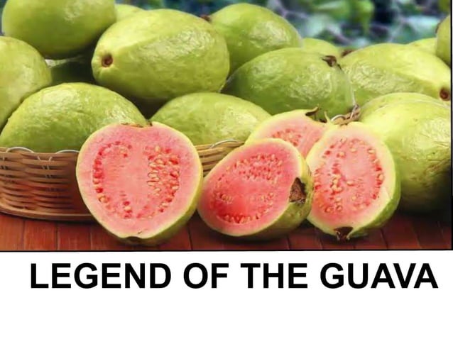 Legend of Guava | PPTX