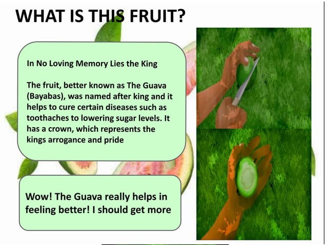 Legend of Guava | PPTX